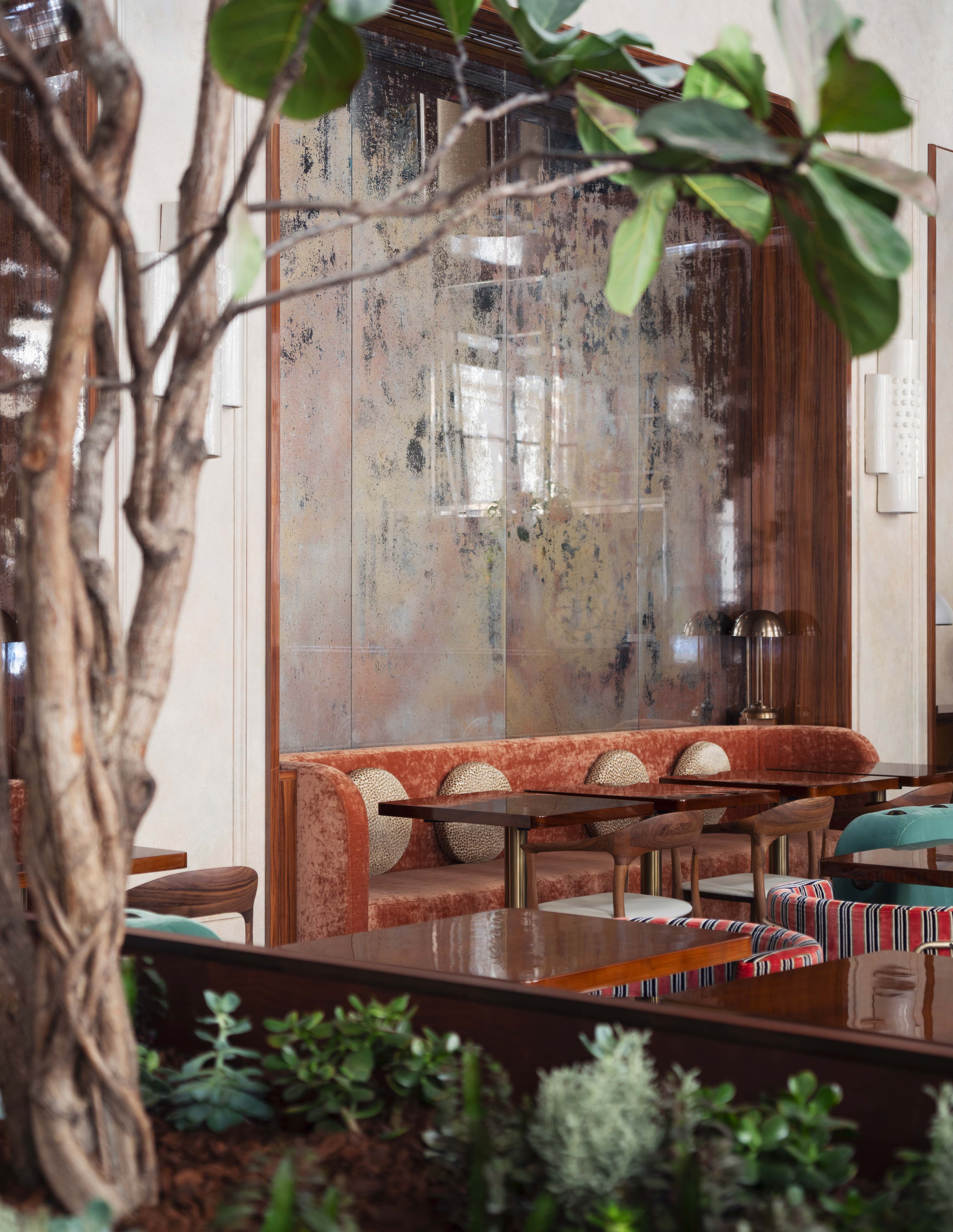 Mimosa, restaurant de Jean-François Piège signé Dorothée Delaye à Paris