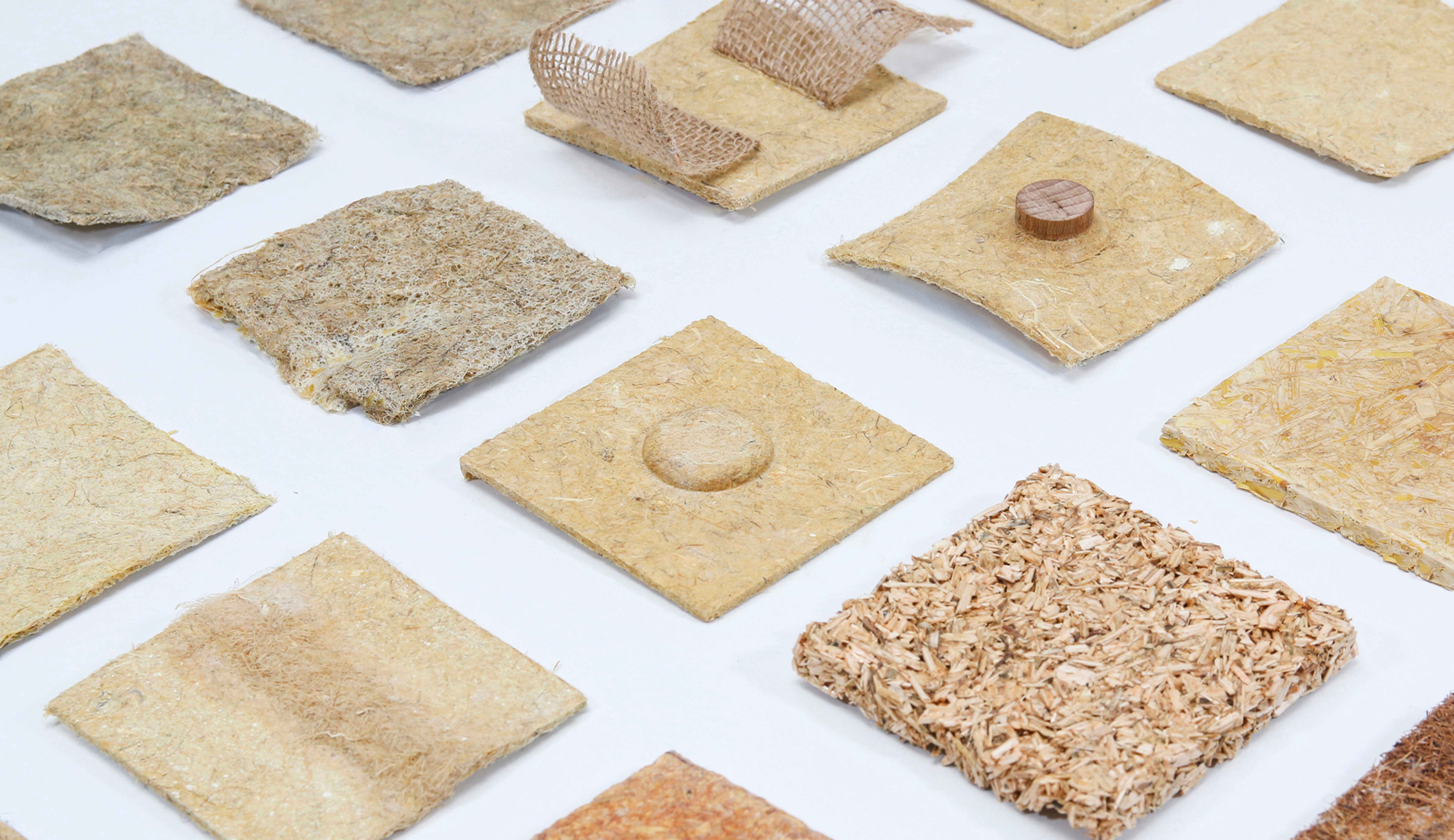 Hemp, a new biomaterial used by designers and creators