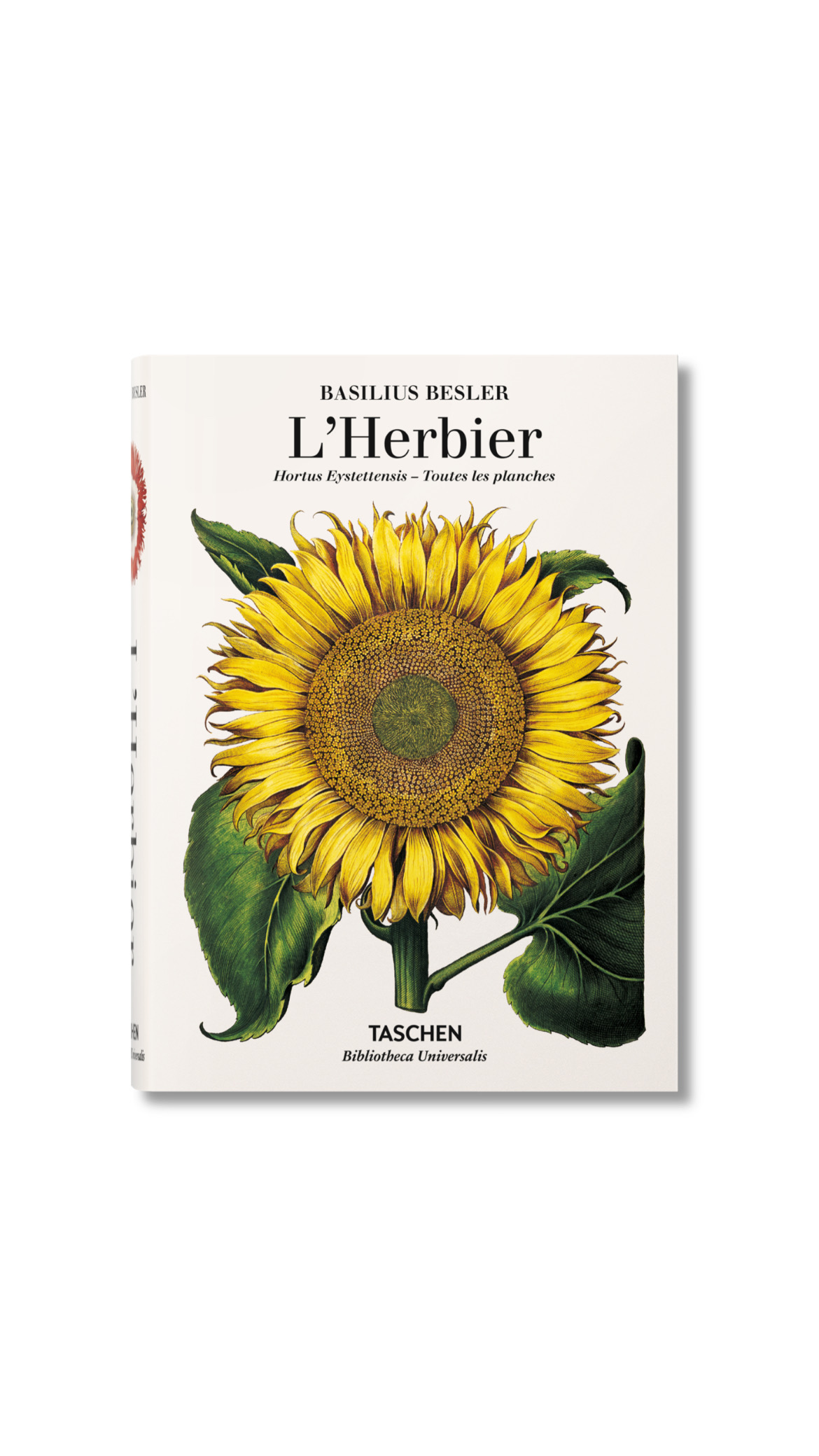 Jacques Merle : artiste multifacette, de la broderie au dessin